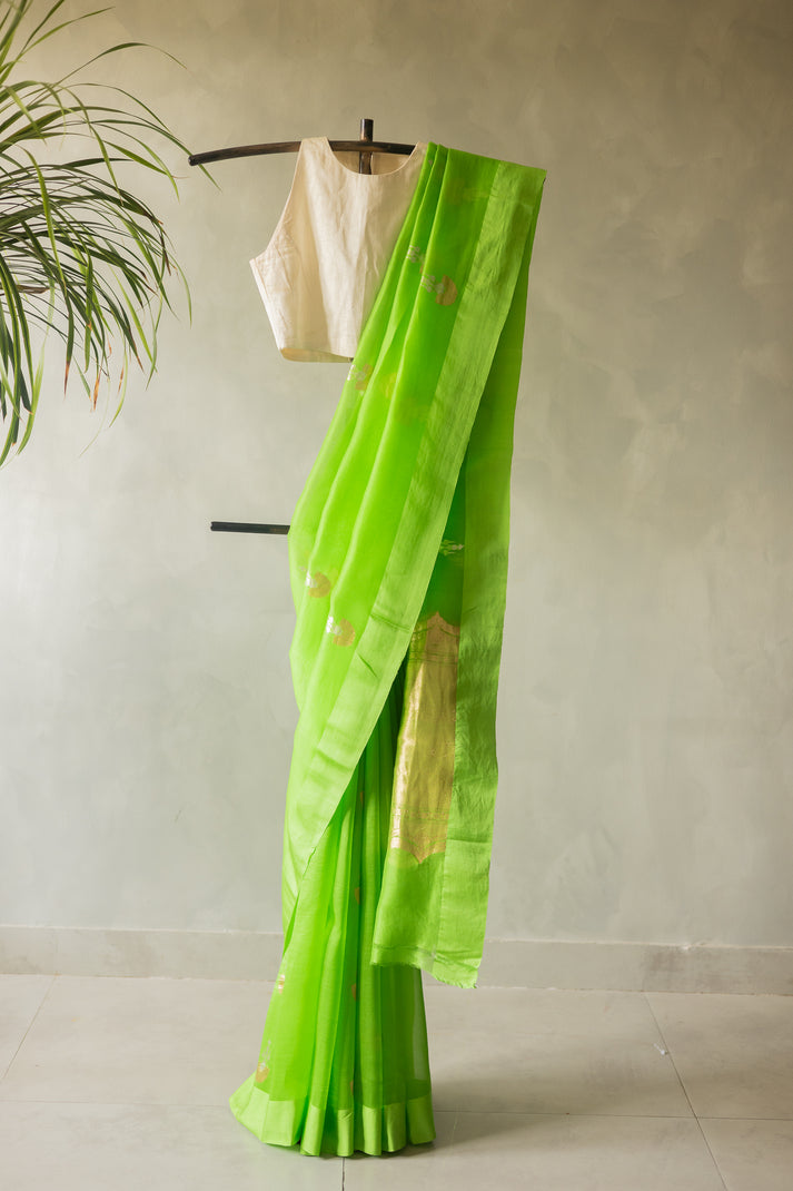 Bright Parrot Green Organza with Silk Border Saree – Anu Vardhan Designs
